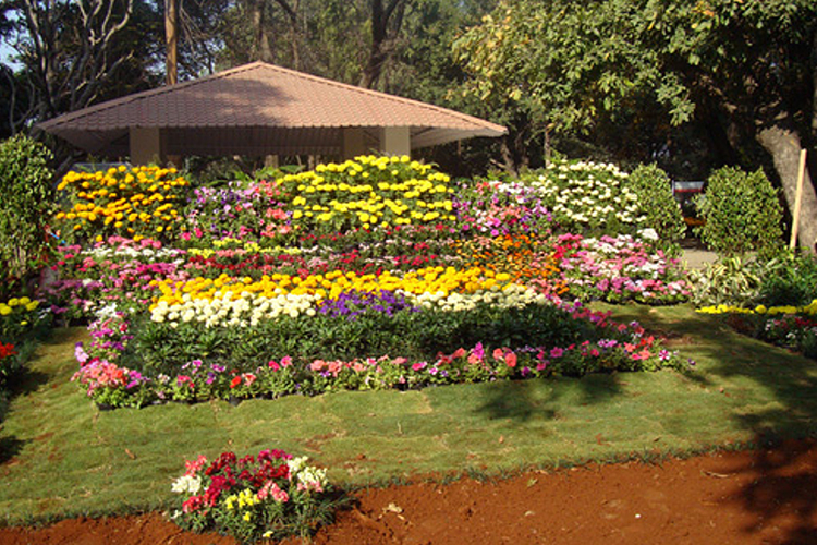 Lotus Ponds & Serene Greenery: Turn Your Phone Off & Chill Out At ...