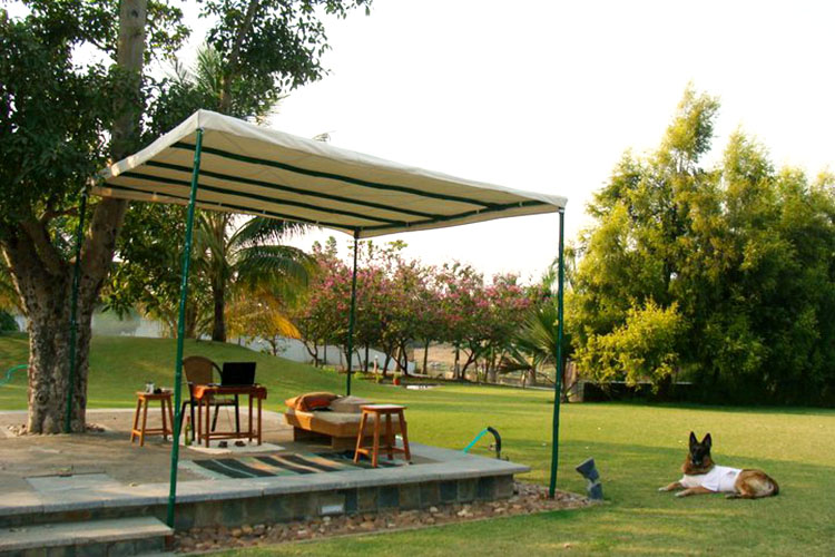 Head to The Farm at NDA Road for all things organic | LBB, Pune