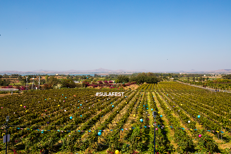 Tipsy Trips: 8 Vineyards In India You Have To Visit | LBB, Delhi