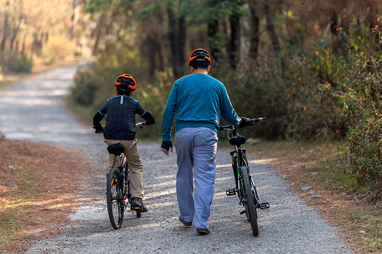 Whistling Pine Trees And Unexplored Mountain Trails At Rakkh Resort ...