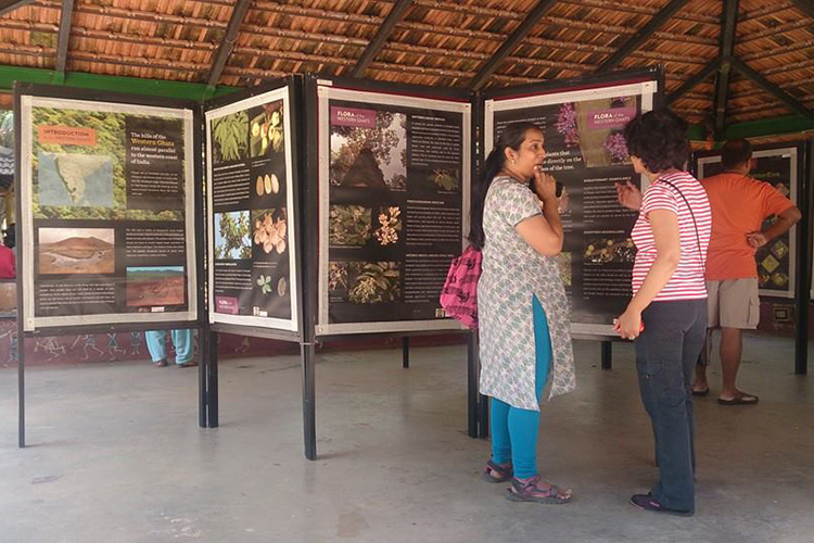 Neralu Tree Festival 2017 | Little Black Book, Bangalore