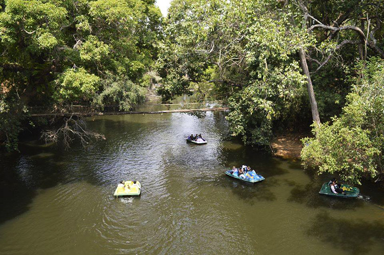 Nisargadhama Forest Resort Coorg | Little Black Book, Bangalore