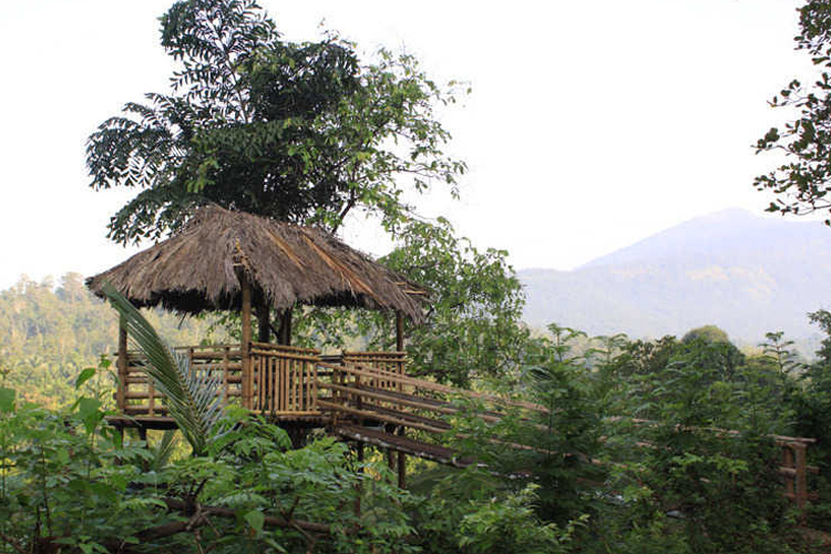 Stream Of Joy Homestay At Dharamsthala | LBB, Bangalore