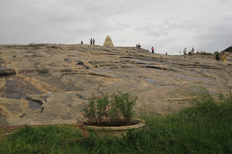 Lalbagh Botanical Gardens In Bangalore | LBB, Bangalore