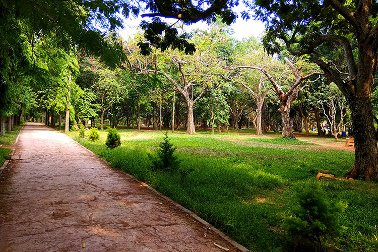 Cubbon Park | LBB, Bangalore