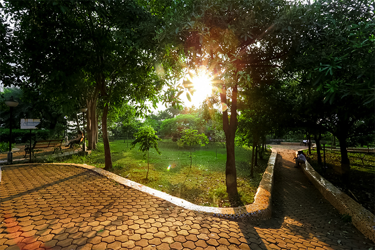 Take A Stroll In The First Forest Themed Garden In Mumbai | LBB, Mumbai