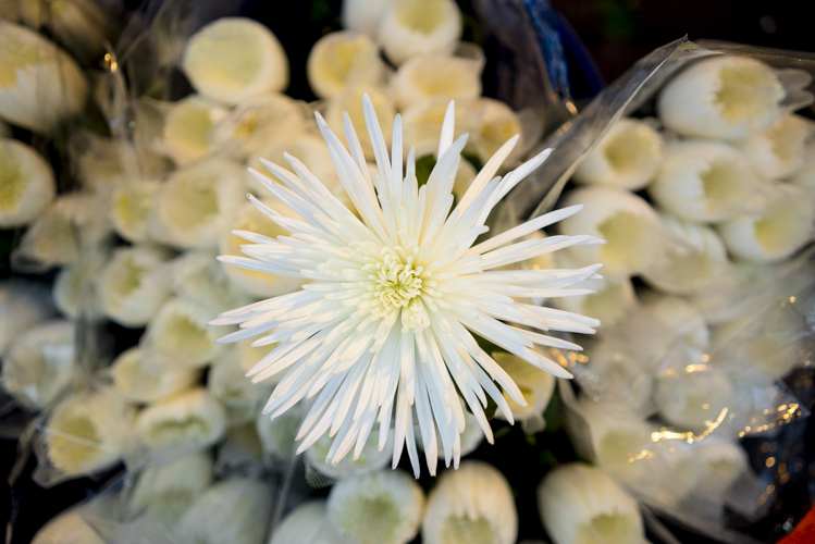 #LBBPhotoStory: Lilies And Roses Under INR 50? Only At The Dadar Flower ...